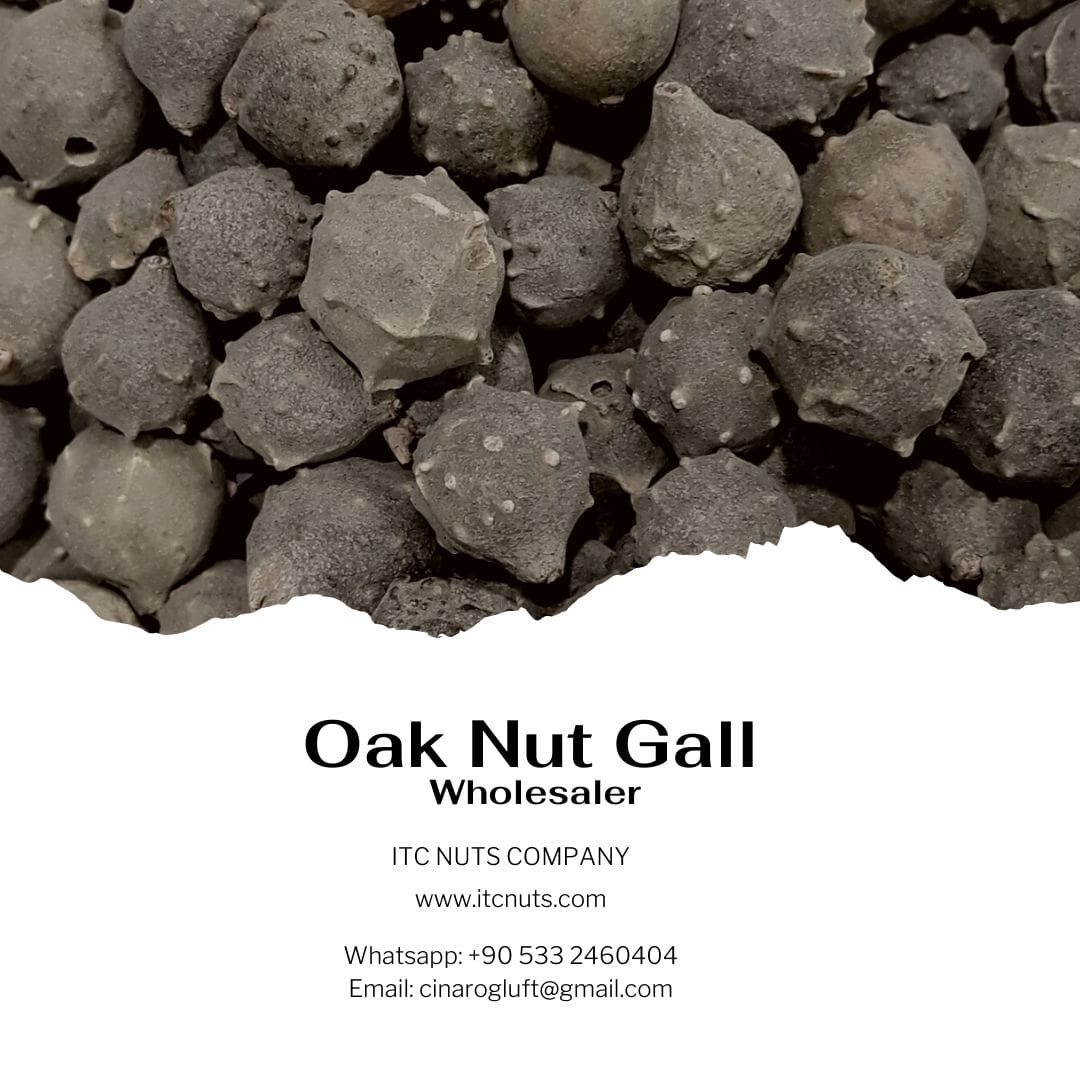 Oak Nut Gall Wholesaler And Exporter Company In Turkey Call Us Details
